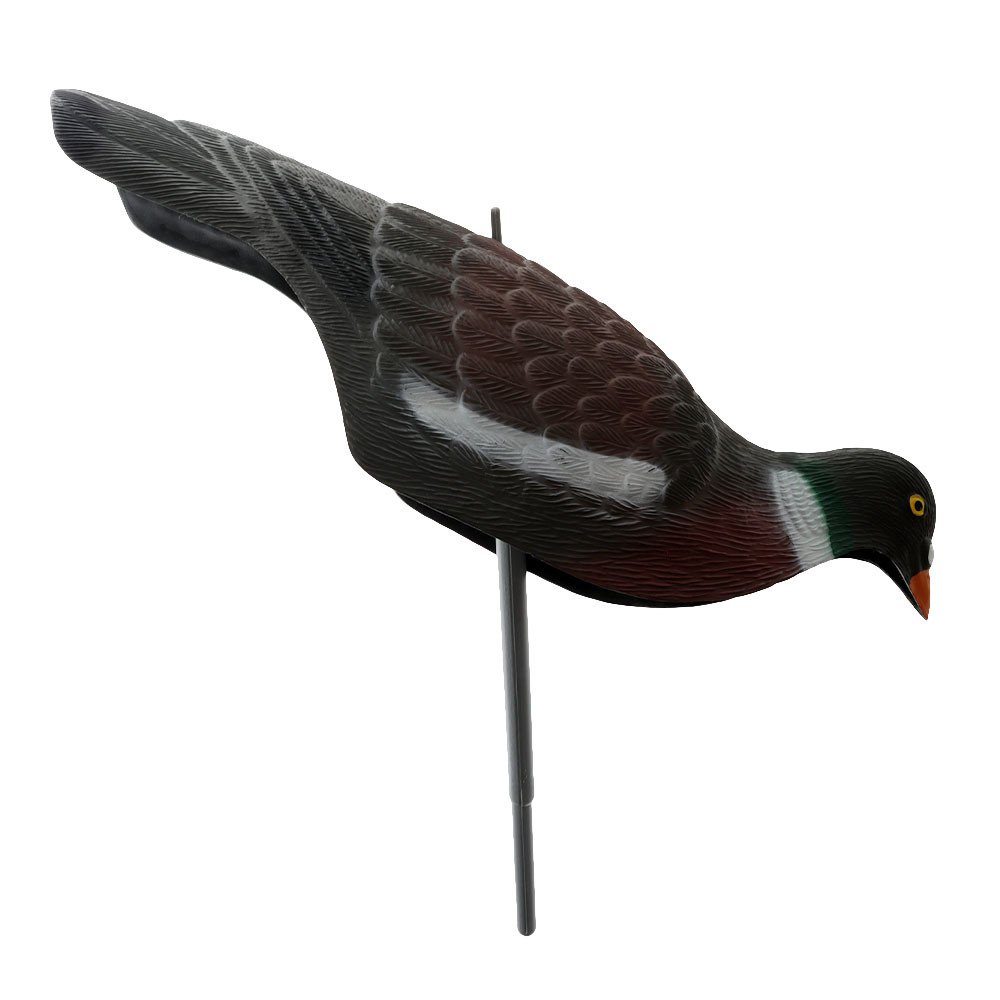 Buy Outdoor Outfitters Pigeon Shell Decoy 41cm 12-Pack online at Marine ...