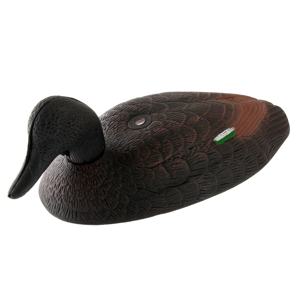 Buy Outdoor Outfitters 18in Foam Paradise Shell Decoys with Lightweight ...