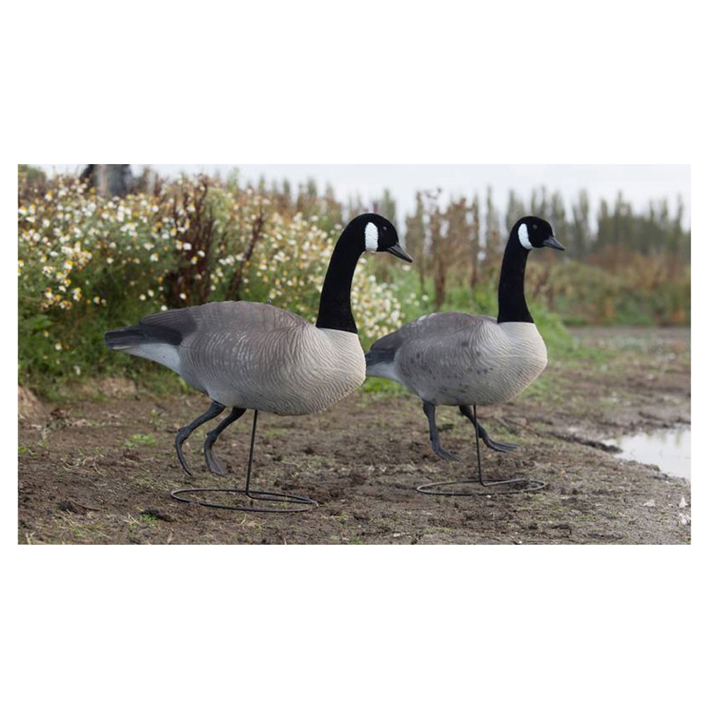 Buy Game On Canada Goose Full Body Pro Grade 6 Pack with Fully Flocked ...
