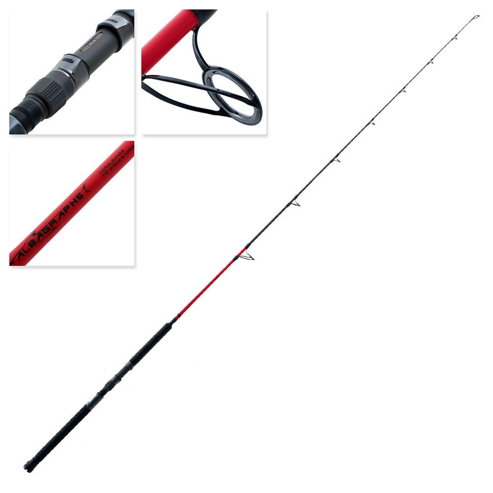 Buy CD Rods Albagraph 5 Spinning Soft Bait Rod 7ft 6-10kg 2pc online at ...