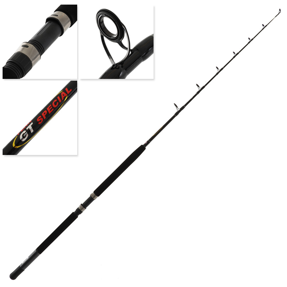 Buy PENN GT Special 561 Overhead Boat Rod 5ft 6in 10-15kg 1pc - Tip ...