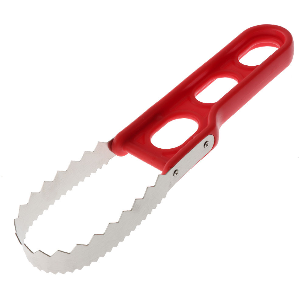 Berkley Essentials Fish Scaler - Fish Scalers - Tools - Fishing