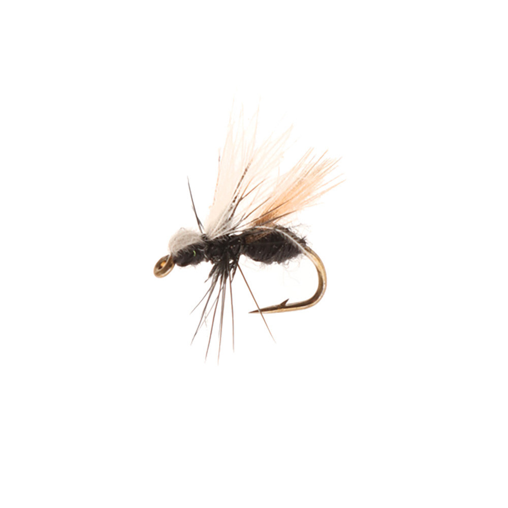 Buy Manic Tackle Project CDC Ant Dry Fly Black #16 1cm online at Marine ...