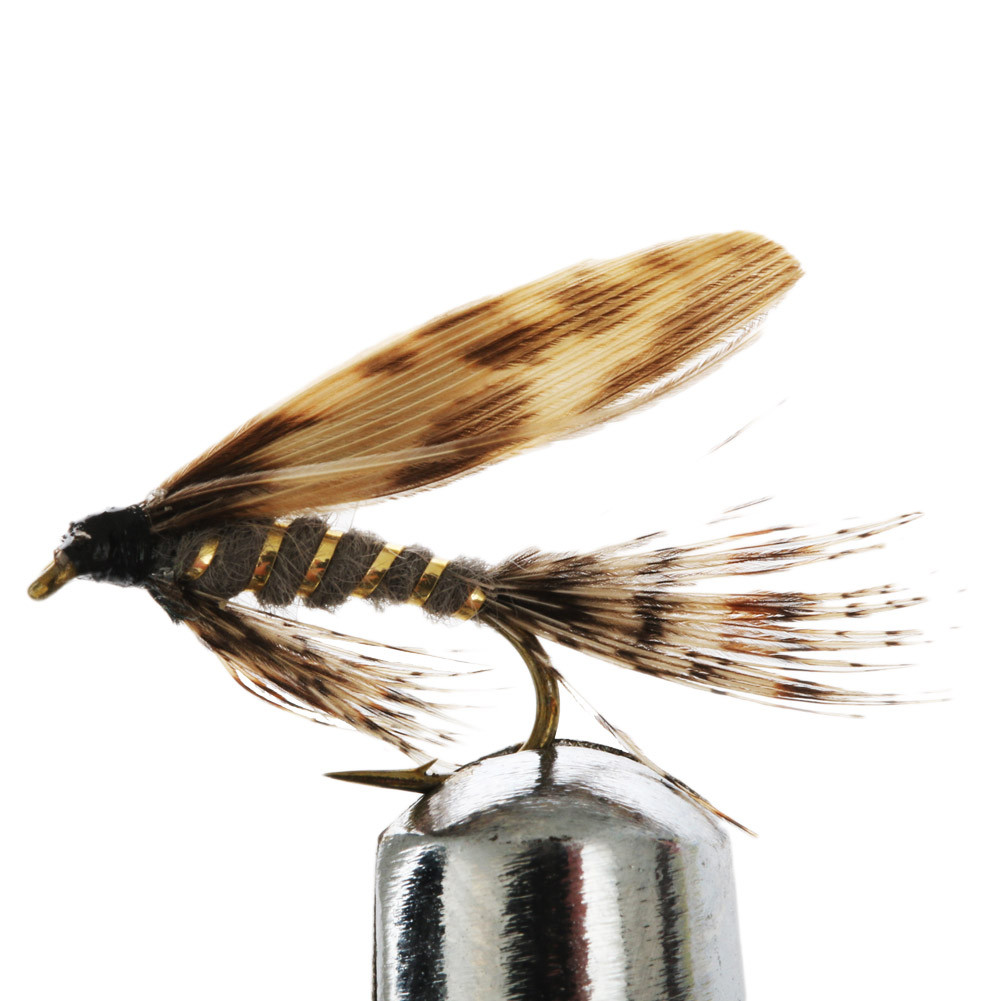 Buy Fishfighter March Brown Male Wet Fly Size 12 online at Marine-Deals ...