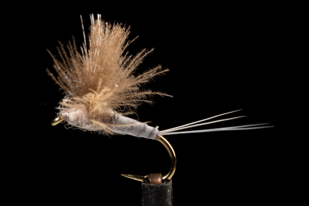 Buy Manic Tackle Project CDC Biot Comparadun Dry Fly Grey #16 online at ...