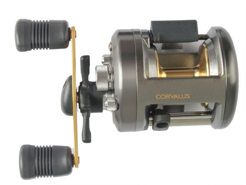 Buy Shimano Corvalus 300 and Backbone Elite Slow Jig Combo 6ft 6in 15kg ...